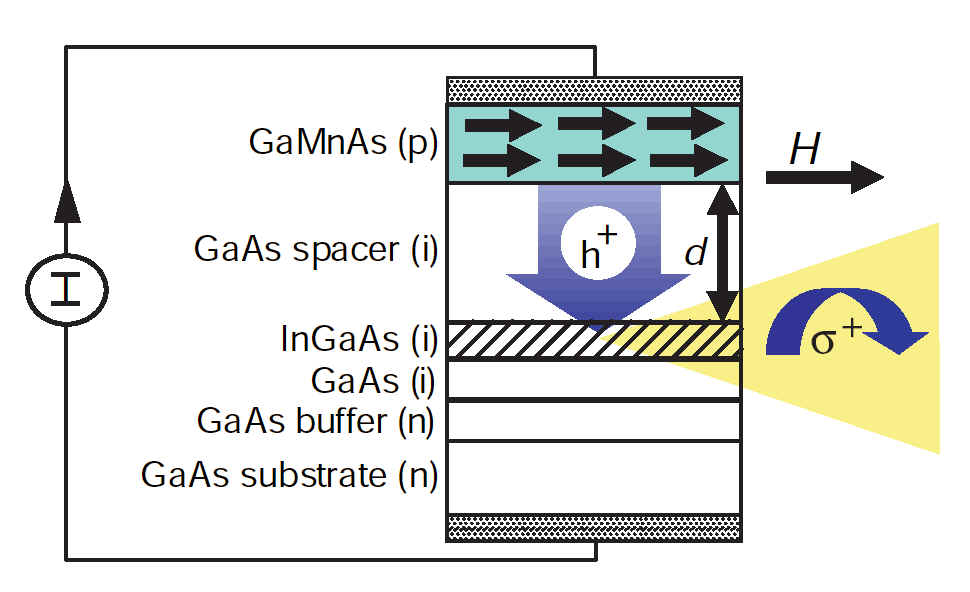 Hammel Group Spin Electronics